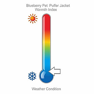 Blueberry Pet 2023 New Cozy & Comfy Windproof Waterproof Quilted Fall Winter Dog Puffer Jacket in Rusty Orange, Back Length 12", Size 10", Warm Coat for Small Dogs