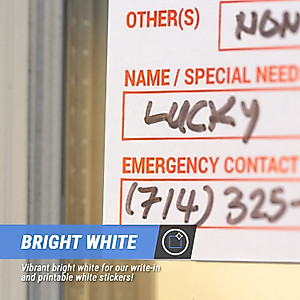 900 Use First Stickers - 2 inch, Circle Dot, Round Food Service Labels/Restaurant Inventory Control/Use First Labels Expiration Stickers, (Red)
