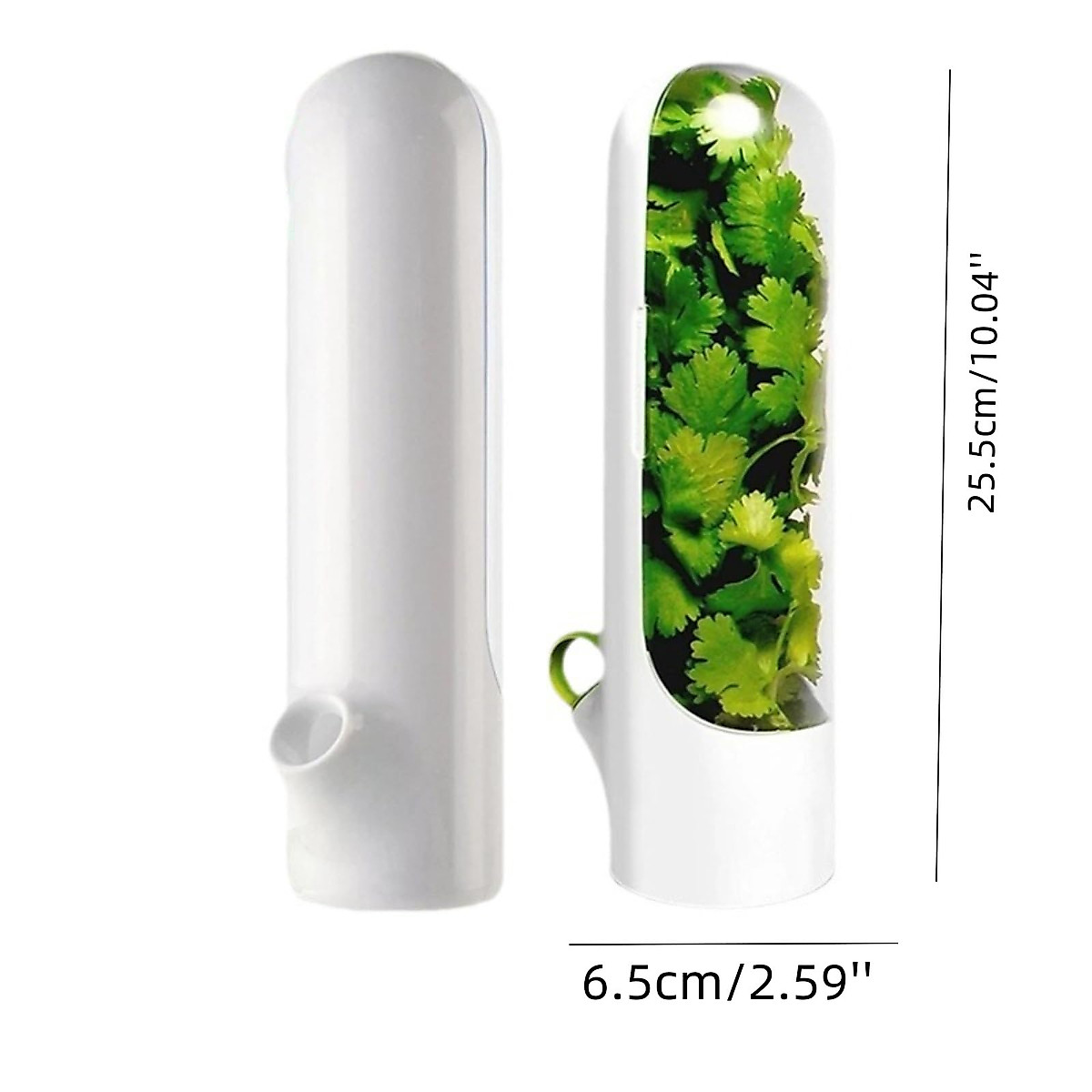 LONG XIN SERIES 1PCS Herb Saver Refrigerator Vegetable Preservation Bottle Herb Storage Container Clear Herb Container for Kitchen Fresh Keeper Cilantro Mint Asparagus