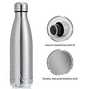 Amazon Basics 0.5L / 16.9 Fl. Oz. Stainless Steel Sport Water Bottle with Vacuum Sealed, Leak-Proof Lid