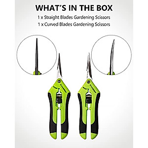 STAYGROW 2pcs 6.5" Pruning Shears for Gardening, Ultra Sharp Garden Scissors for Precise Cuts, Stainless Steel Bonsai Clippers with Spring Loaded, 6.5 Inch Garden Shears (1pc Straight & 1pc Curved)