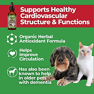 Animal Essentials Heart Health for Dogs & Cats - Cardiovascular Support Supplement, Healthy Heart, Organic Hawthorn Berry, Herbal Tincture - 2 Fl Oz