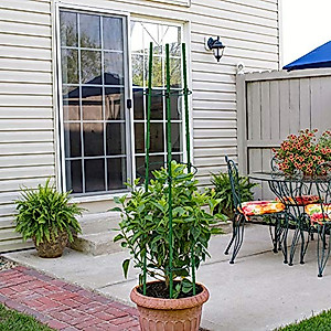 Gardzen 3-Pack Tomato Cage, Plants Support, Trellis Climbing Ring Cage, Stand for Pepper Eggplant Tomato Flowers