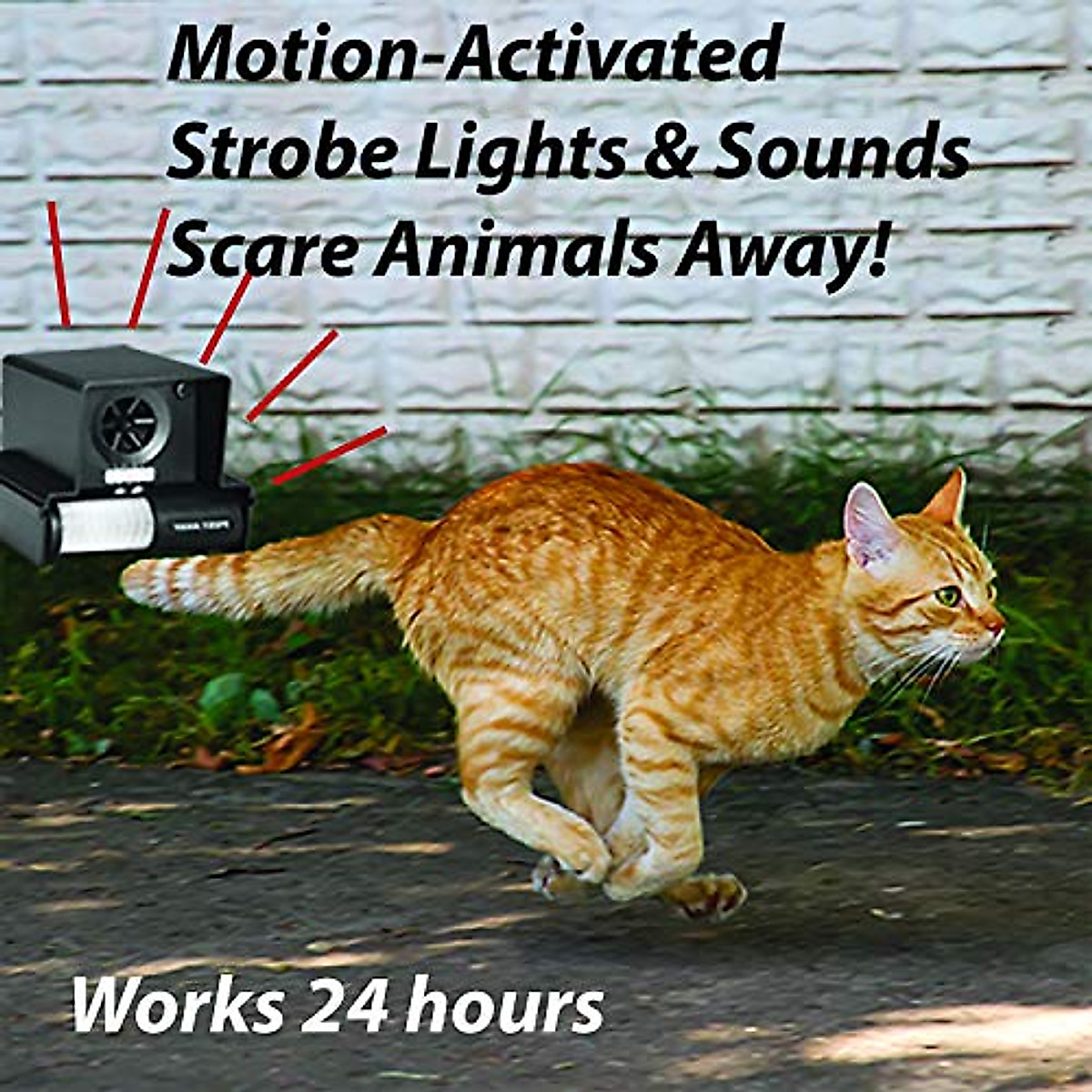 PREDATORGUARD PestAway Outdoor Animal & Cat with Motion Sensor Stops Animals Destroying Your Gardens & Yard