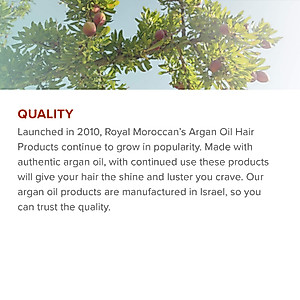 Royal Moroccan Sulfate Free Shampoo | Argan Oil Shampoo | Shampoo for Color Treated Hair | Moisturizing Shampoo Argan Oil Hair Products (500 ml 16.9 oz)