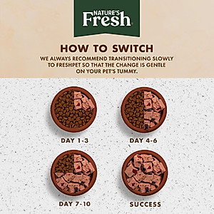 FRESHPET Beef Garden Vegetables Grains 5Lb Dog Food, 80 OZ