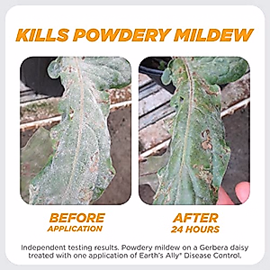 Earth’s Ally Plant Care Bundle – Insecticide and Fungicide Spray