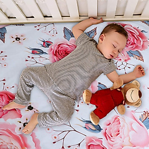 Yoofoss Baby Blanket Super Soft Minky Swaddle Cuddle Blanket with Double Layer Plush Dot Backing Printed Receiveing Blanket for Boys Girls Nursery Stroller Crib Newborn Blanket 30x40In (Pink)