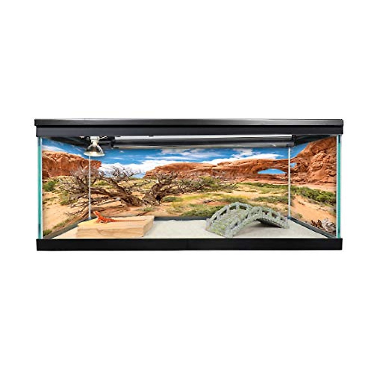 Reptile Habitat Background; Double Arch with Tree for 20L, 3-Sided Wraparound