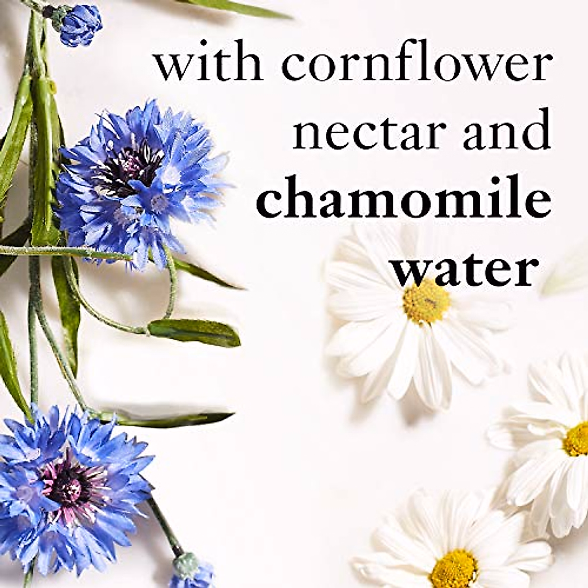 philosophy purity made simple - bi-phase make up remover, 6.6 oz