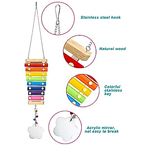 Woiworco 4 Packs Chicken Toys for Hens in Coop, Chicken Xylophone Toy with Mirror, Vegetable Hanging Feeder and Chicken Swing Toys Chicken Supplies Chicken Coop Accessories for Your Chicken Gift