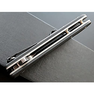 Eafengrow Outdoor Knives D2 Blade and Black G10 Handle,Pocket Knife Withe Clip EDC Multi Tool Pocket Knife (EF227-black)