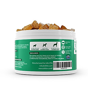 LOLLITIN Flea & Tick Dog Supplement - Made in USA - All Natural - Dog Chews 120 Count - Bacon Flavor - Dog Supplements - Natural Repellent