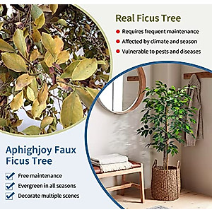 Aphighjoy Faux Plants Artificial Ficus Trees Eucalyptus Trees with Silk Leaves Fake Moss and Sturdy Nursery Pot, Fake Plants for Office Home Decor (4Ft -1Pack, Upgraded Ficus Tree)