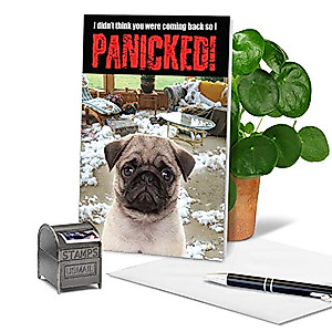 NobleWorks - 1 Cute Birthday Card with Envelope - Funny Wild Animals and Pets, Birthday Greeting - Dog Panicked C2233BDG