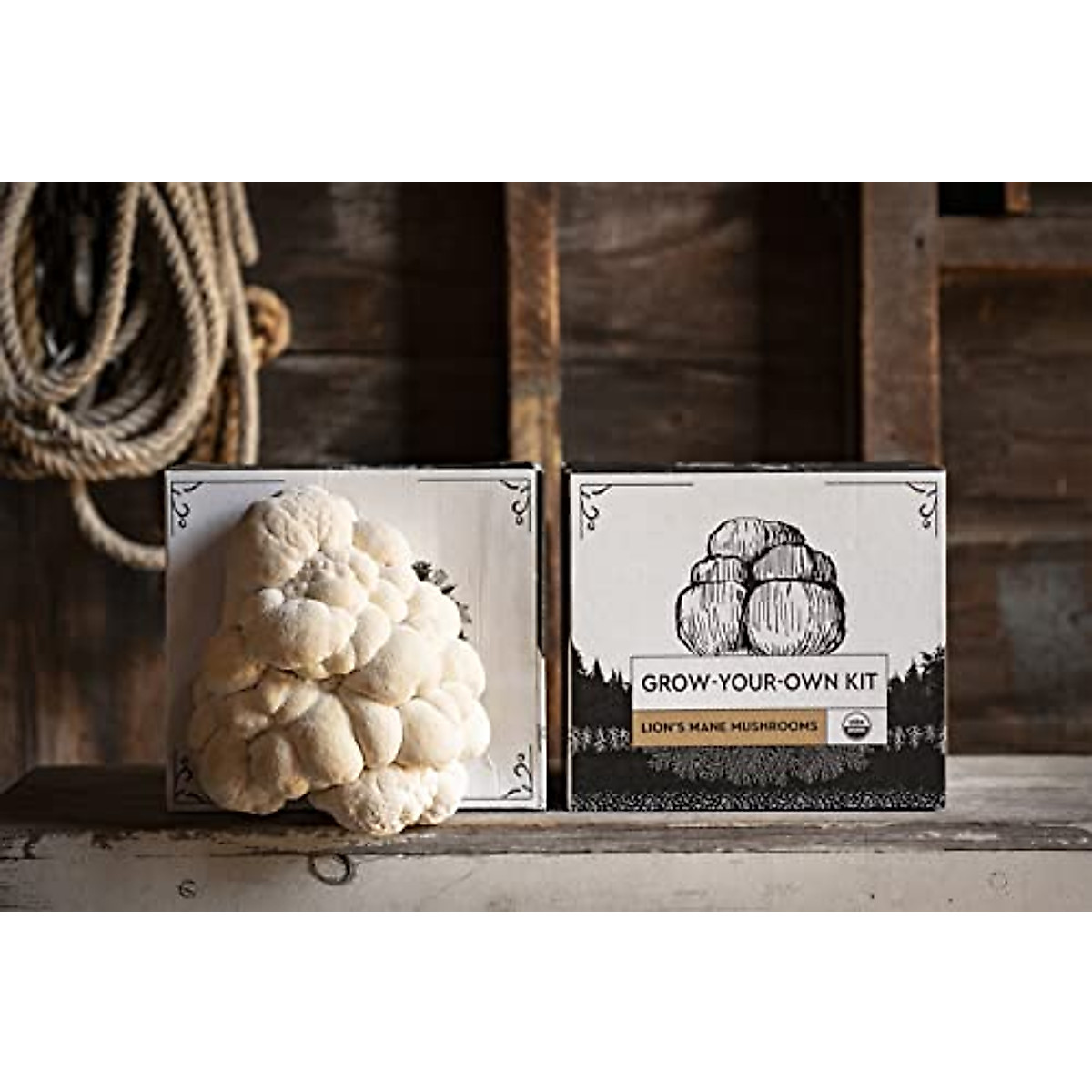 Hodgins Harvest Extra-Large Lion's Mane Mushroom Grow Kit (7lbs) | USDA Certified Organic | Grow Your Own Delicious Gourmet Mushrooms at Home