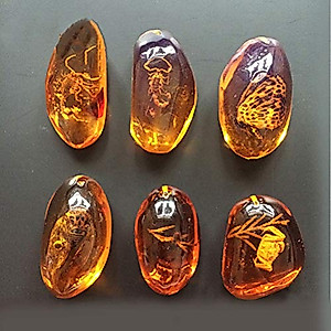 VORCOOL 5pcs Amber Fossil with Insects Samples Stones Crystal Specimens Home Decorations Collection Oval Pendant (Random Pattern)