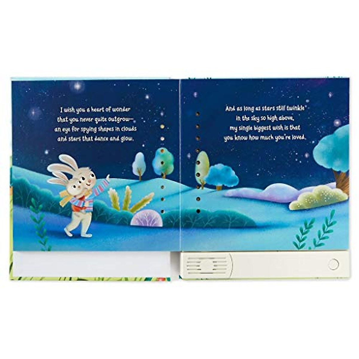 HMK My Wish for You Recordable Storybook