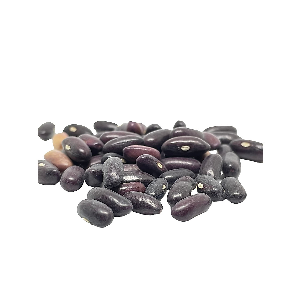 50 Green Bean Seeds for Planting - Provider - Bush Bean - Heirloom Non-GMO Vegetable Seeds for Planting