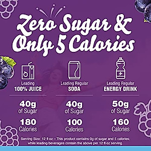 Crystal Light Sugar-Free Concord Grape Low Calories Powdered Drink Mix 6 Count Pitcher Packets