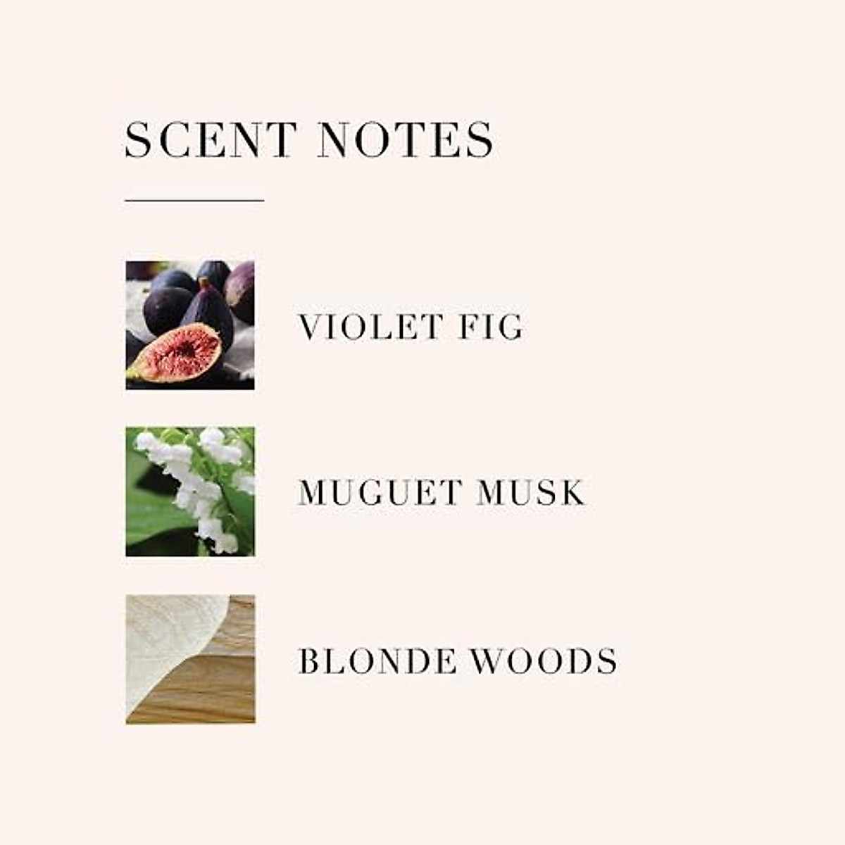 No. 114 Chai Épicé Hair and Body Mist - Sea Salt, Ginger Flower, Almond Crème - Gourmand by Tru Fragrance and Beauty