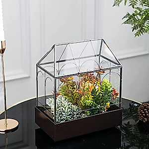 Vellon Large House Shape Glass Plant Terrarium for Foliage Succulent Bonsai Air Plant, Indoor Greenhouse, Planter Box, Black - 9.1 x 5.75 x 10.8”