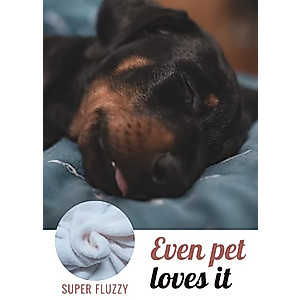 InnoBeta Doberman Pinscher Gifts, Doberman Blanket Throws for Dobie Mom Dad, Gifts for Doberman Pinscher Lovers, 50 x 65 inches, Perfect for Birthday Christmas Thanksgiving