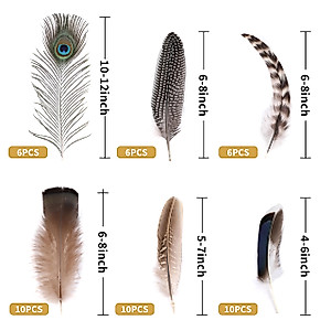 Holmgren 48pcs Natural Feathers Bulk - 6 Styles 48pcs Assorted Natural Feathers, Peacock Feathers, Pheasant Feathers, Turkey Feathers for Craft DIY Jewelry Hat Wedding Home Party Decoration