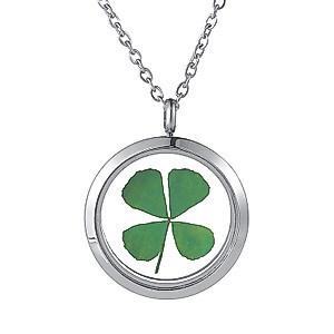 FM FM42 Silver-tone Dried Leaves Lucky 4-Leaf Clover Round Glass Stainless Steel Locket Pendant Necklace FN3059