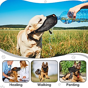 Diamond Painting Kits for Adults,Diamond Art Kit,5D Diamond Painting Kit Full Drill Round Drill for Wall Decor,Relaxing,Gift