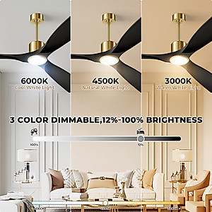 BOOSANT Ceiling Fans with Lights, Ceiling Fans with Lights and Remote Control, 52 inch Ceiling Fan with Light, Outdoor Ceiling Fans for Patios 3 Blade Bedroom Living Room-Matte Black and Gold