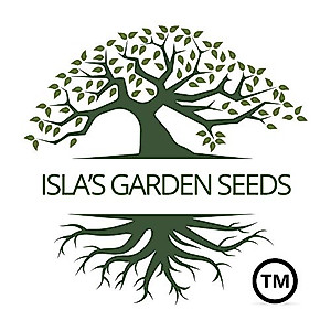 Dwarf Siberian Kale Seeds for Planting, 500+ Heirloom Seeds Per Packet, (Isla's Garden Seeds), Non GMO Seeds, Botanical Name: Brassica oleracea, Great Home Garden Gift