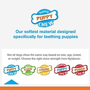 Nylabone Freezer Puppy Chew Toy - Puppy Chew Toy for Teething - Puppy Supplies - Peanut Butter Flavor, Small (1 Count)