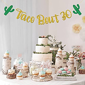 MonMon & Craft Taco Bout 30 Banner / Mexican Fiesta Themed 30th Birthday Banner / Cactus Adios to My 20's Birthday Party Decorations Gold Glitter