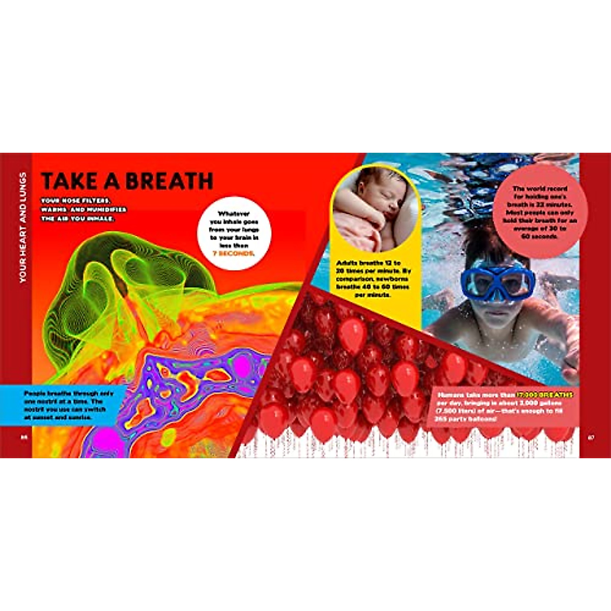 The Fascinating Human Body Book for Kids: 500 Phenomenal Facts! (Fascinating Facts)