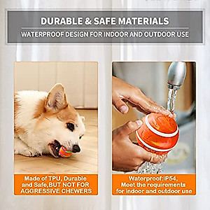 PetDroid Interactive Dog Ball Toys,Durable Motion Activated Automatic Rolling Ball Toys for Puppy/Small/Medium Dogs,USB Rechargeable (Orange)