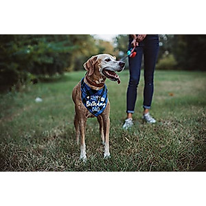 Ptzizi Funny Blue Plaid Happy Birthday Dad Dog Printed Triangle Bandana, Small Medium Large Boy Pet Dog Birthday Party Scarf Bib Accessories for Pet Dog Lovers Gift