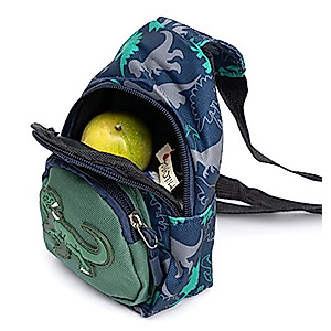 Cute Children Sling Bag Small Cartoon Dinosaur Crossbody Shoulder Bag Coin Purse Waist Backpack Nylon for kid 1-5-Gray