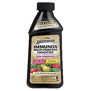 Spectracide Immunox Multi-Purpose Fungicide Spray Concentrate For Gardens 16 Ounces, Protects Up To 2 Weeks