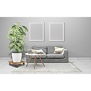 LITADA Acacia Wood Plant Caddy (Set of 2) Plant Dolly Heavy Duty, 12 inches Square Plant Roller with 4 Metal Lockable Caster Wheels, Outdoor Caddy Indoor Plant Dolly…