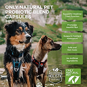 Only Natural Pet Probiotic Dog and Cat Supplement - Digestive & Intestinal Tract Health Enzyme Formula, Puppy & Canine Digestive Support, Best for Stomach Relief & Gas Aid - 90 Capsules.