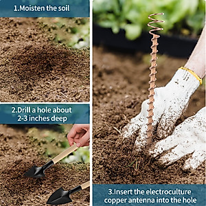 Electroculture Plant Stakes, 6 Pack 11.5" Long Copper Garden Stakes, Electroculture Gardening Copper Coil Antennas for Growing Garden, Indoor Plants and Vegetables, High-Yield, Eco-Friendly