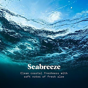 Duradry Body Powder - Sweat Defense & Odor Control, Sweat Absorbing, Anti-Chaffing, All Natural Powder, Talc-Free, Prevents and Eliminates Any Body Odor Naturally - Seabreeze, 4oz