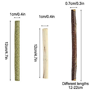 NEREIDS NET 300g Hamster Natural Snack Kit Apple Sticks, Teeth Grinding Toy, Timothy Hay Sweet Bamboo Chew Teeth Care Wood Toys for Gerbil Bunny Chinchilla Guinea Pig Pets Food