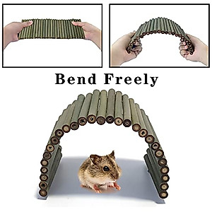 Hamster Guinea Pig Chew Toys, Hamster Rat Gerbil Mice Toys with Climbing Ladder and Hideout, Hamster Exercise Accessories for Syrian Dwarf Hamsters