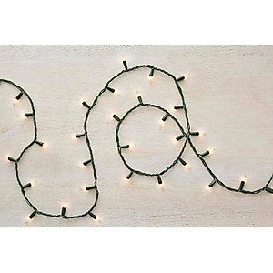 Home Accents Holiday 22 ft. 100 Clear Mini Incandescent Lights Bulb Green Cord (2 Packs)