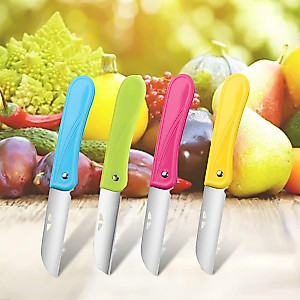 fruit knife small,New Foldable Fruit Knife Set,paring knife set of Exquisite and Beautiful,Small and Easy to Carry,suitable for Most Types of Vegetables and Fruits,4 Pieces(red, Blue,green,yellow)