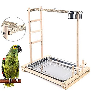 Wooden Perches Bird Stand Large Parrot Perch Playstand with Steel Tray + 2*Food Cup, Game Playing Stick Frame Pet Bird Training Tree Toy for Pets to Play