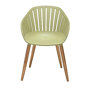 Armen Living Nassau Outdoor Patio Arm Dining Chairs, 17" Seat Height, Set of 2, Eucalyptus and Sage Green