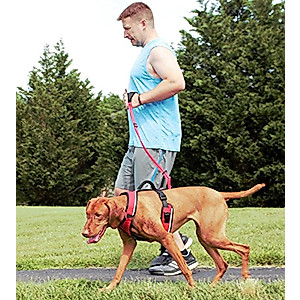 PetSafe Sport Leash, Durable Nylon Leash with Unique Padded Hand Wrap Handle to Help Keep Hands Free for Running or Walking, for Dogs up to 75 lb., Red